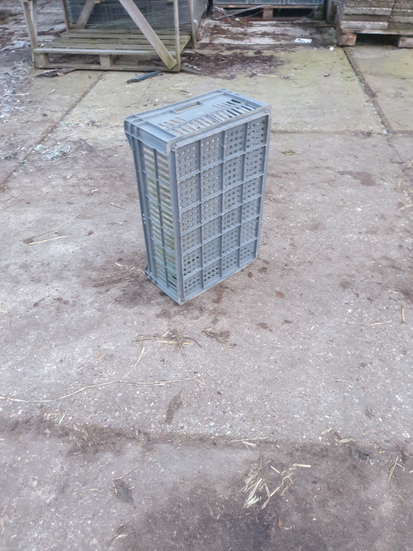 Groente kratten | HB Veilen B.V.