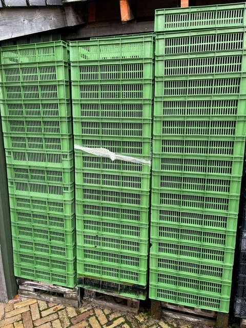 Plastic kratten | HB Veilen B.V.
