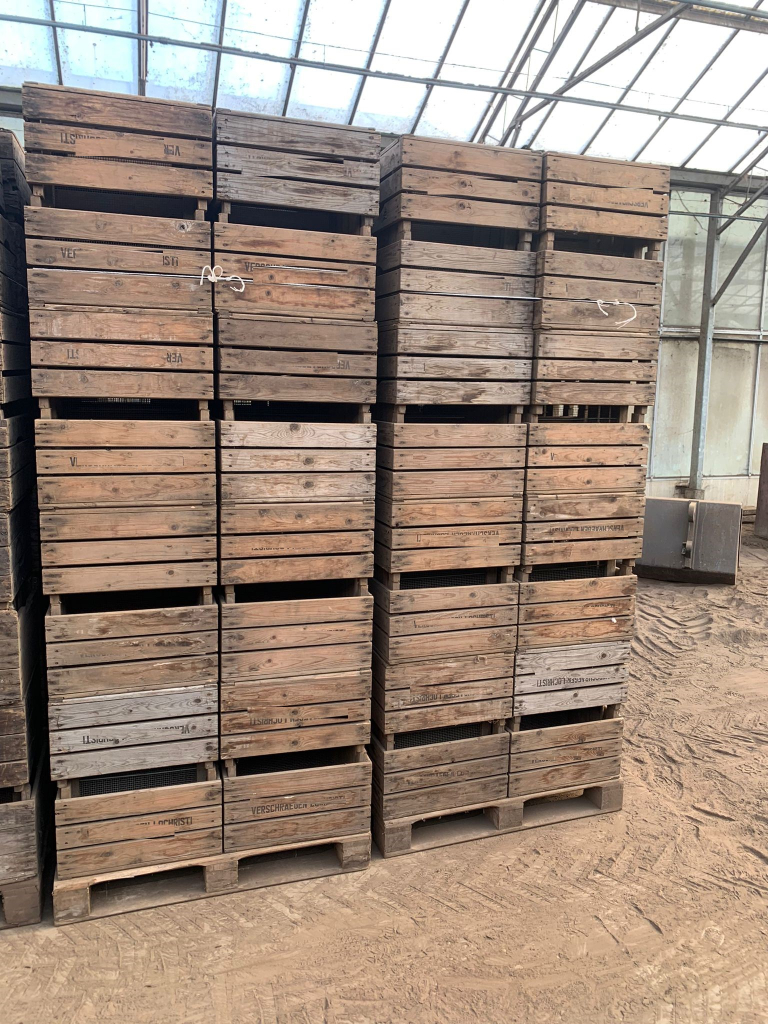 Antha Kratten | HB Veilen B.V.