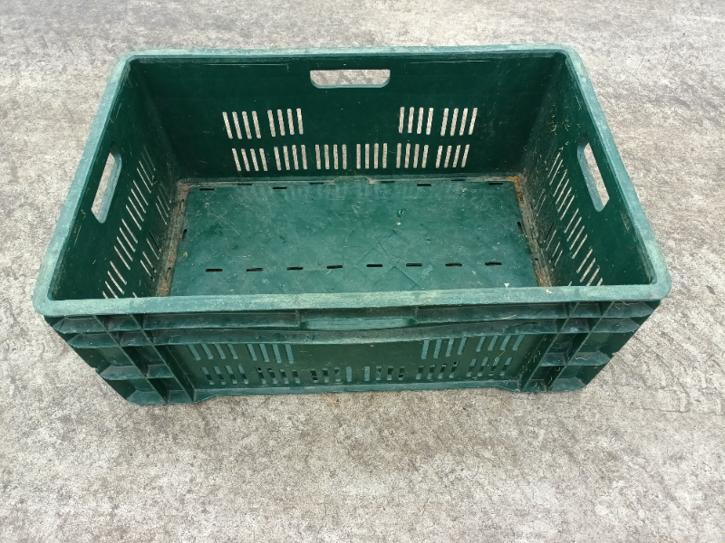 Groentekratten | HB Veilen B.V.