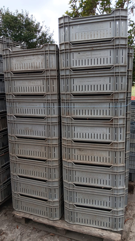 Groente kratten | HB Veilen B.V.