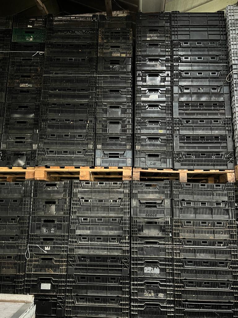 Exportkratten | HB Veilen B.V.