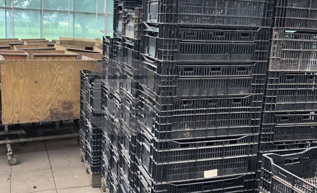 Plastic kratten | HB Veilen B.V.