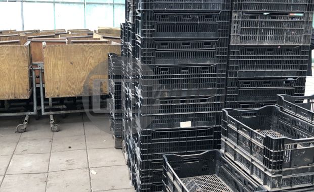 Plastic kratten | HB Veilen B.V.