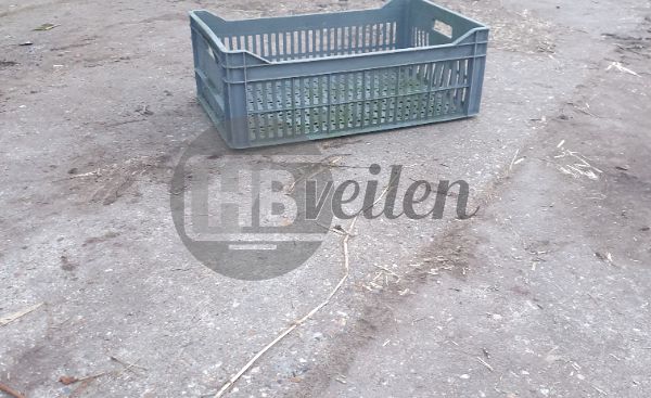 Groente kratten | HB Veilen B.V.