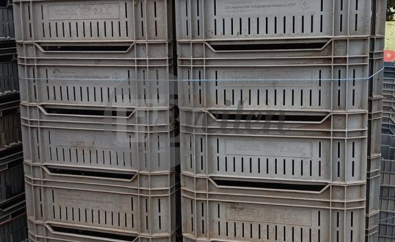 Groente kratten | HB Veilen B.V.