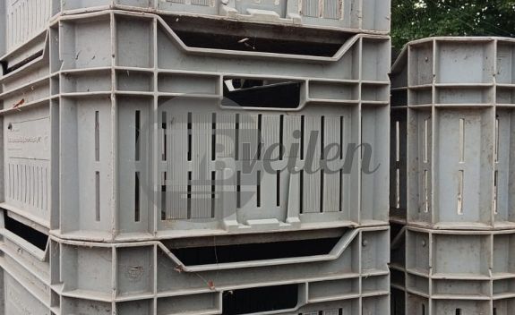 Groente kratten | HB Veilen B.V.