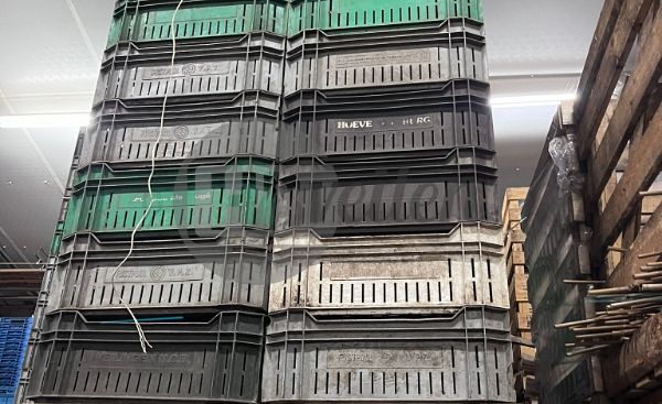 Groente kratten / Veiling kratten | HB Veilen B.V.