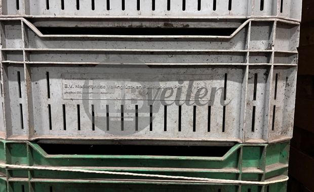 Groente kratten / Veiling kratten | HB Veilen B.V.