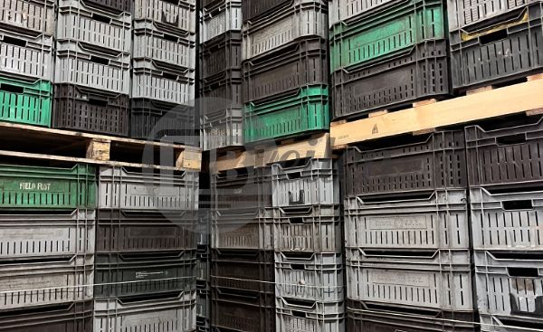 Groente kratten / Veiling kratten | HB Veilen B.V.